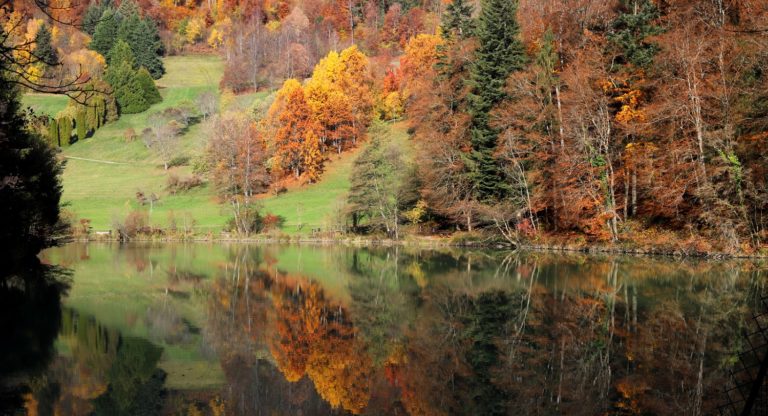 Automne_2020 - L'Arboretum du Vallon de l'Aubonne